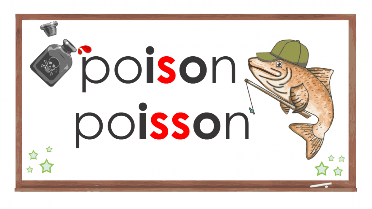 04. Règle 4 : Les graphies s et ss comme dans poison et poisson - 3e ...